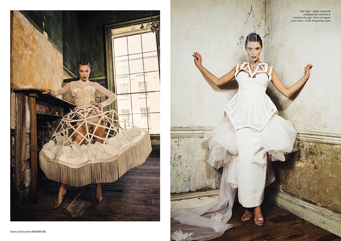 Poetry of Dissection – INSTITUTE